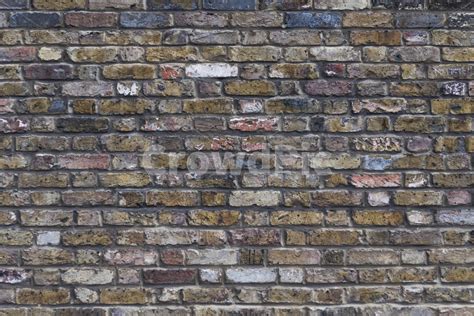 벽 벽돌 블록 건축 시멘트 사진 이미지 일러스트 캘리그라피 Currere작가