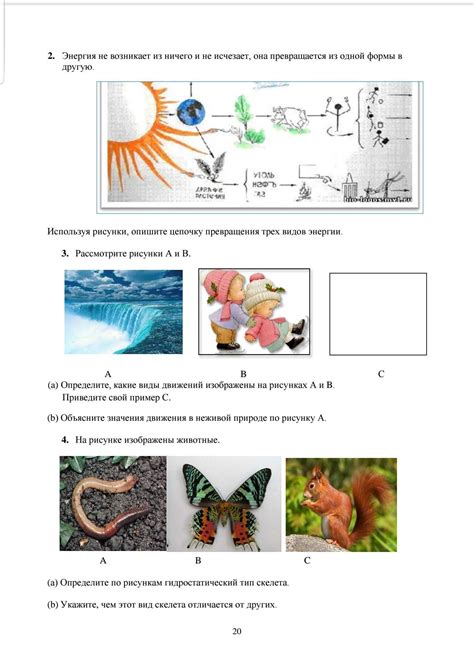 ПОМОГИТЕ ПЛЗ С ЗАДАНИЯМИ ПО ЕСТЕСТВОЗНАНИЮ БИОЛОГИИ Школьные Знания Com