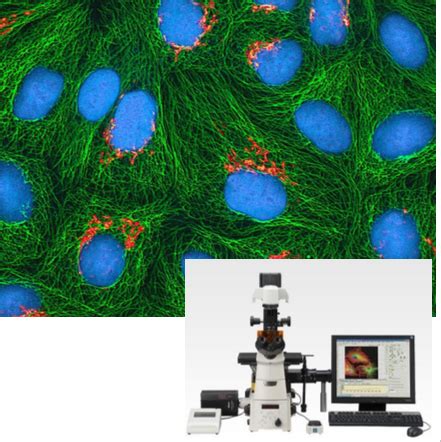 Module 4 Midterm Flashcards Quizlet