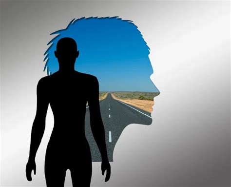 Decoding The Language Of Smell A Principal Odor Map Unifies Olfactory