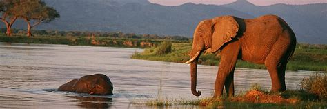 Zambia National Parks