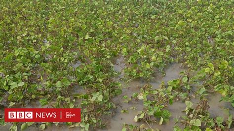 ဇွန်လ ၂၂ ရက်နေ့ ထိပ်တန်းသတင်းများ စုစည်းချက် ဖရူဆို အနောက်ဘက်ခြမ်းက က