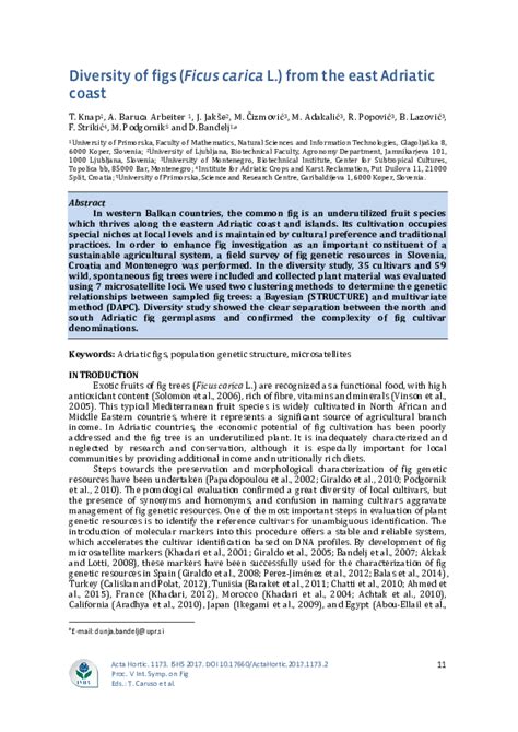 Pdf Diversity Of Figs Ficus Carical From The East Adriatic Coast