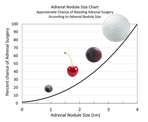 Top 4 Things To Know About Adrenal Nodule Size
