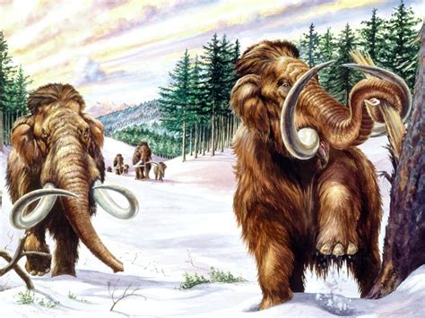 Is The Ice Age Prehistoric At Carl Moran Blog