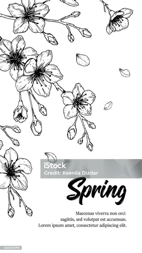 손으로 그린 봄 벚꽃 스케치 스타일로 수직 디자인 소셜 미디어 이야기 카드 배너 편지 초대장을위한 봄 디자인 텍스트의 장소 벚꽃에 대한 스톡 벡터 아트 및 기타 이미지