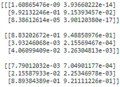 Precisionlymphonet Advancing Malignant Lymphoma Diagnosis Via Ensemble Transfer Learning With Cnns