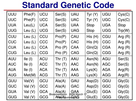 Ppt Microbial Ecology And Environmental Genomics Powerpoint