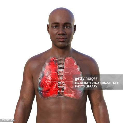 113 Man 50 White Background High Res Illustrations Getty Images