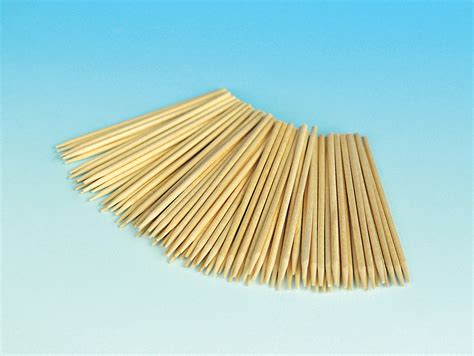 Disposable Dissection Probes Pkg Of 100 Flinn Scientific