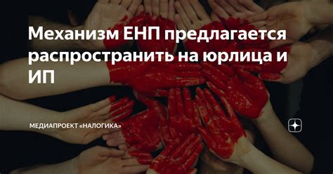Механизм ЕНП предлагается распространить на юрлица и ИП Медиапроект «НАЛОГИКА Дзен