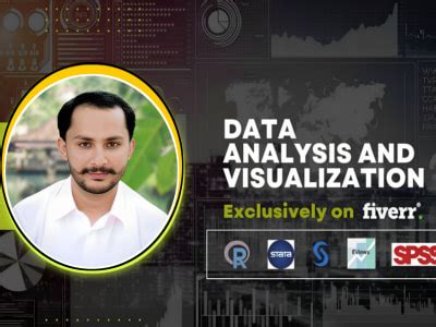 Statistical Data Analysis And Visualization Report Upwork