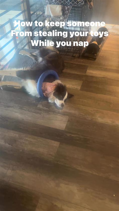 Together Tuesday With Cog Hill Farm Live Live Together Tuesday