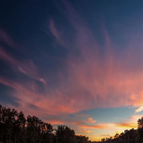 Colorful Sky Above The Trees Photograph By Sqwhere Photo Fine Art America