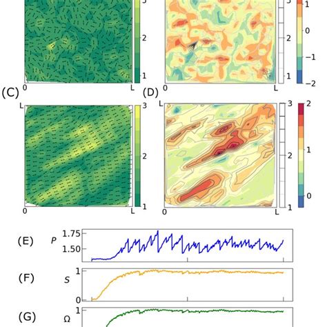 panel showing results from voronoi vertex model simulations where a