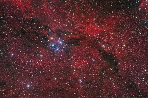 Dark Nebula Along The Cassiopeiacamelopardalis Border — Aapod2com