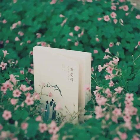 日日好物丨 04 19 春天不是读书天 昆曲 唱词 余段