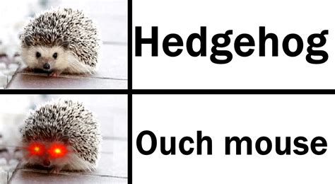 Ouch Mouse Is Superior Rmemes