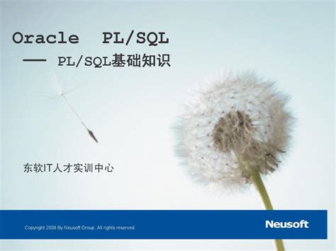 Oracle PL SQL 基础知识 word文档在线阅读与下载 无忧文档