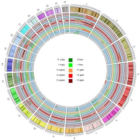Copy Number Analysis Copy Number Alterations Were Identified Starting Download Scientific