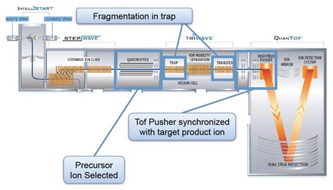 Increasing Sensitivity For Tof Ms Detection Of Polychlorinated Biphenyls Pcbs Using Tof Mrm