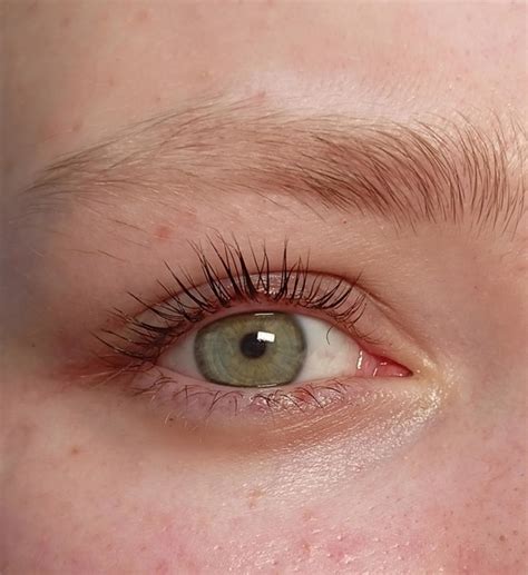 Сертифицированный мастер по оформлению и ламинированию бровейресниц Опыт работы 10 месяцев