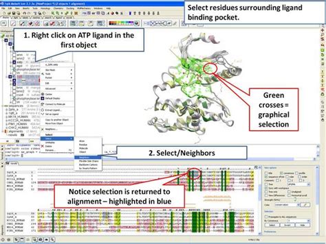 Icm Users Guide Sequence And Alignment Tutorials