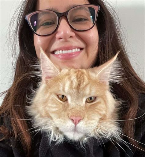 Fears Of Cats Being Poisoned In Langley Park Maidstone After Deaths
