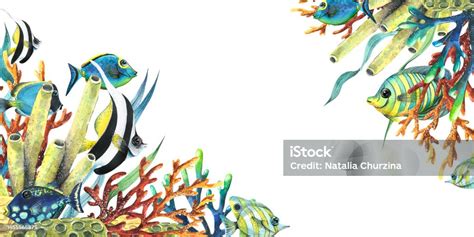 바다 스폰지 산호 조류 및 열대 밝은 물고기 수채화 그림입니다 열대어 컬렉션의 구성 여름과 해변 프린트의 장식 및 디자인 장식