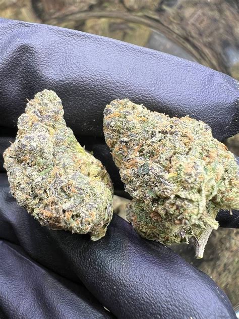 Tahiti Lime Strain Liveresindisposablevapes