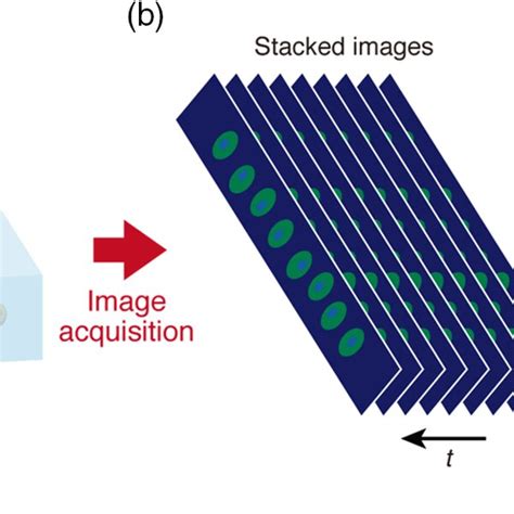 schematic of high throughput parallel optofluidic 3d ifcm a image