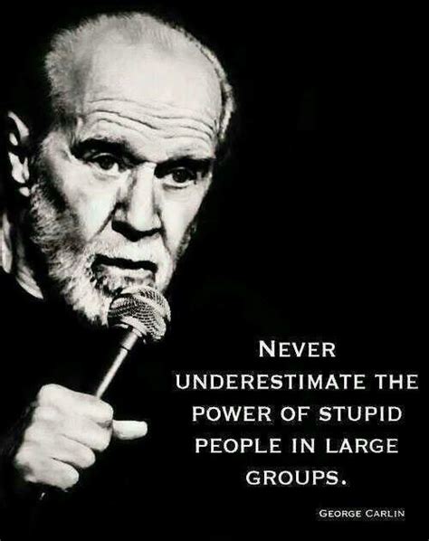 Never Underestimate The Power Of Stupid People In Large Groups Picture Quotes