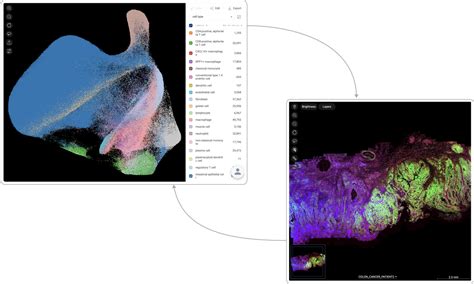 Bioturing Lens Spatial Omics Analytics Platform