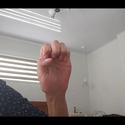 Hand Detection Object Detection Model V Pm By Catwithawand