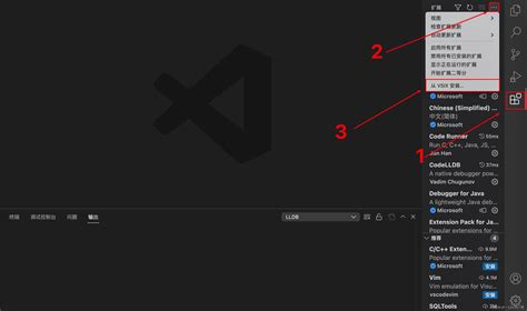 Vscode Acquiring Codelldb Platform Package 自动加载不成功解决方案 Csdn博客