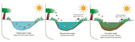 Nitrates In The Environment Encyclopedia Of The Environment