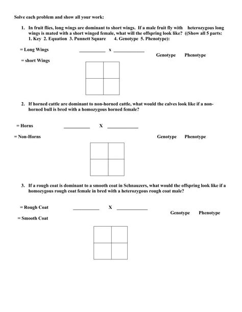 Punnett Square Worksheet