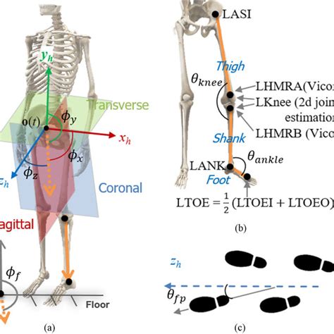Pdf 3d Canonical Pose Estimation And Abnormal Gait Recognition With A Single Rgb D Camera