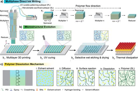 Fabrication Strategy For Micropatterns With Mdiw 3d Printing And Wet Download Scientific