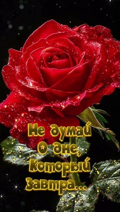 Доброму человеку доброго вечера Youtube