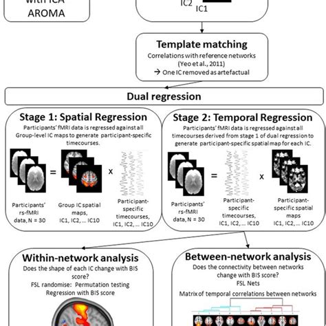 Illustration Of The Steps Followed During Resting State Functional Fmri Download Scientific