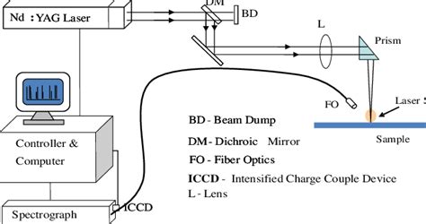 Schematic Diagram Of Experimental Set Up Of Libs Download Scientific Diagram