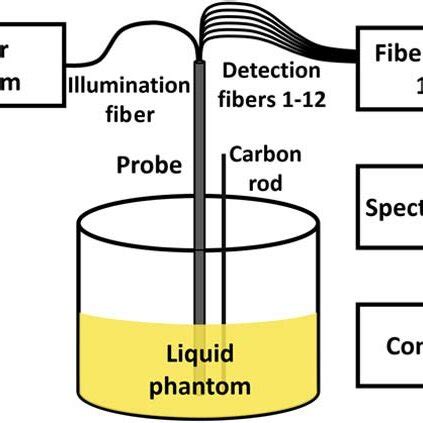 Experimental Setup With The Optical Probe Immersed In The Brain Download Scientific Diagram