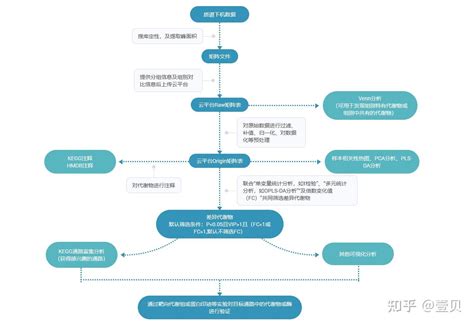 非靶向代谢组学是什么？怎么分析？代谢组学图怎么看？ 知乎