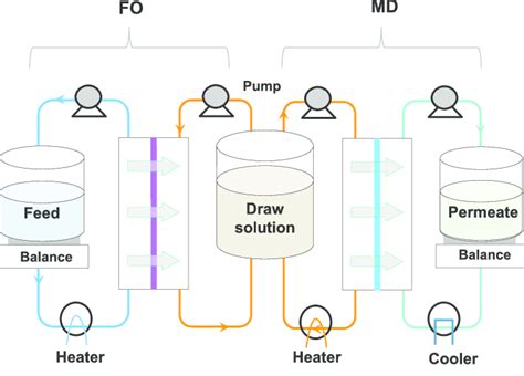 Schematic Diagram Of The Polyelectrolyte Promoted Fomd Hybrid System Download Scientific