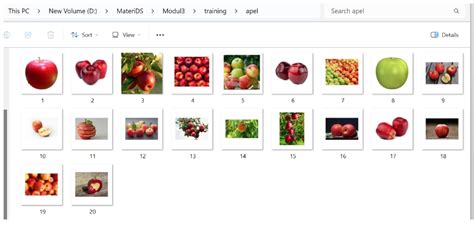 Purwadhika Penerapan Cnn Convolutional Neural Network Dalam Mengidentifikasi Varietas Buah