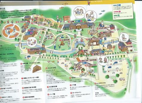 福島市四季の里のタイハイスイセン大杯水仙ピンク水仙 2013年4月20日土 peaの植物図鑑