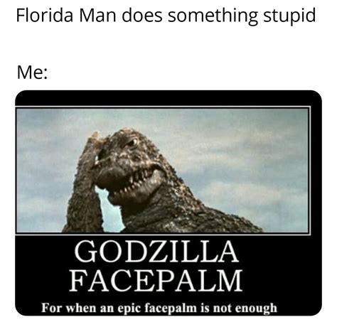 Facepalm Rmemes