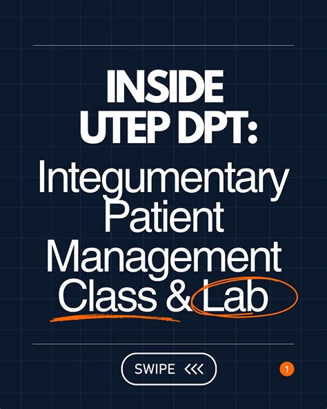 Utep Physical Therapy El Paso Tx
