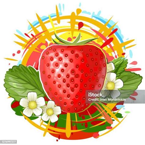 딸기 여름 과일 태양광선과 주스의 튀김 정원 농업 공장 열매의 잘 익은 수확 흰색 배경에서 격리된 벡터 그림입니다 0명에 대한